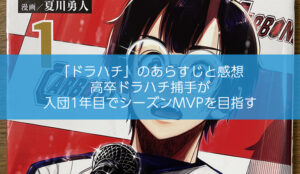 「ドラハチ」のあらすじと感想※高卒ドラハチ捕手が入団1年目でシーズンMVPを目指す｜オデダンクスブログ